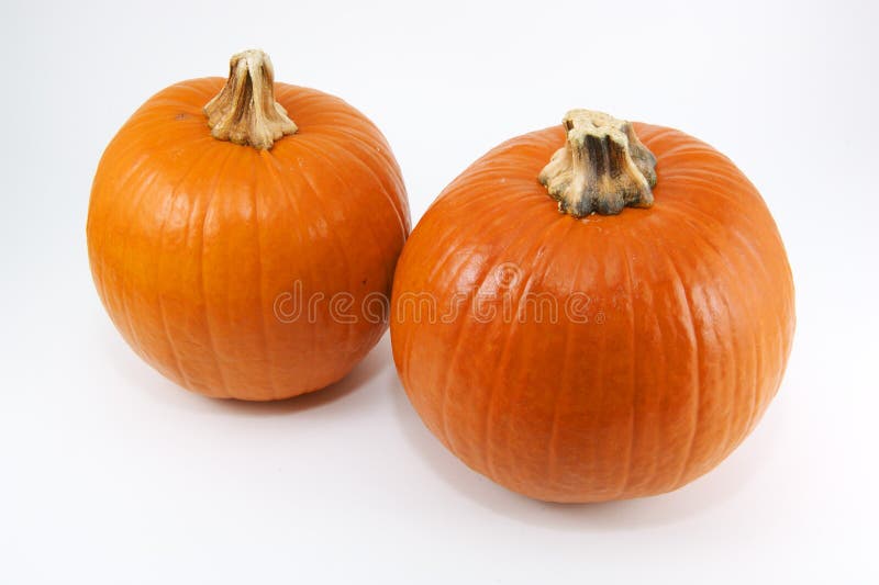 Pumpkin stock image. Image of orange, thanksgiving, halloween - 3300745