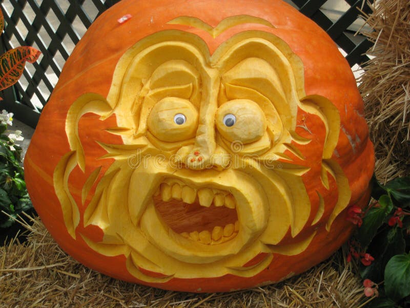 Pumpkin Face stock image. Image of pumpkin, large, halloween - 34614185