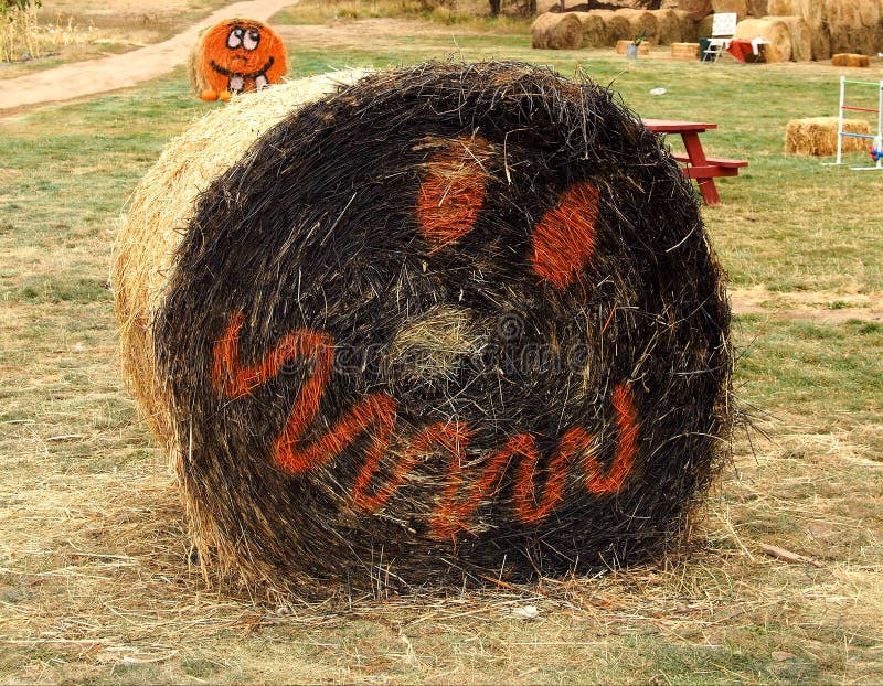 Pumpkin faced hay roll stock image. Image of halloween - 120432885