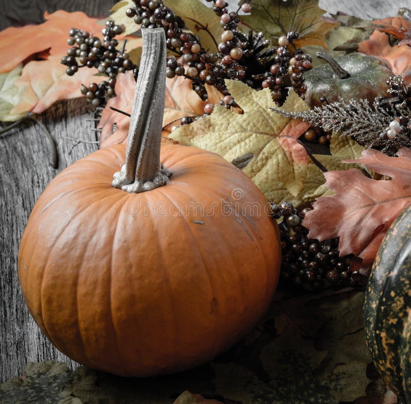 Pumpkin and Fall Leaves on Rustic Wood Stock Image - Image of october ...