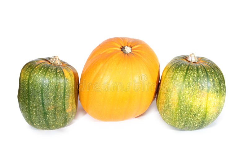 Pumpkin four stock image. Image of autumn, ground, agriculture - 208379291