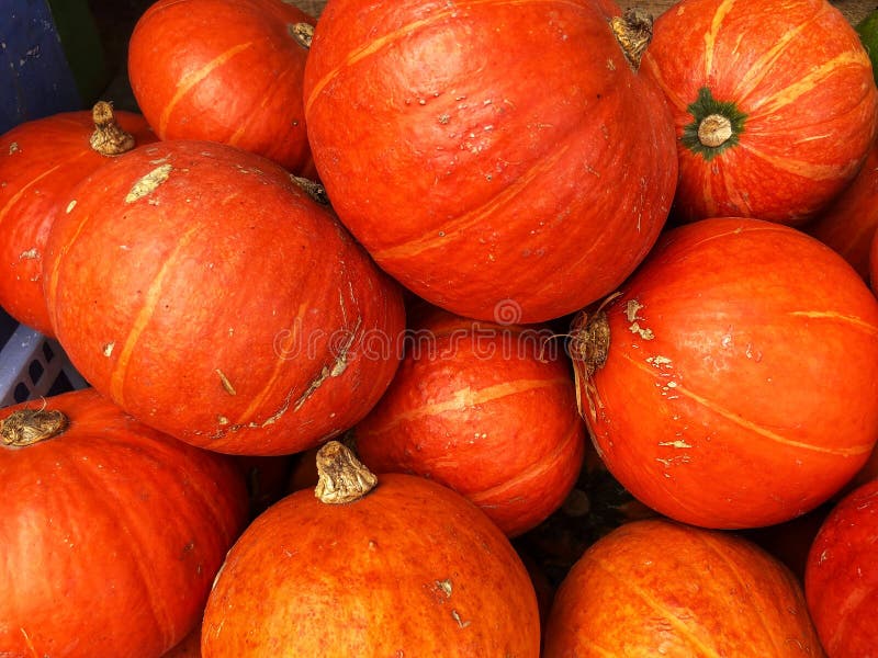 Pumpkin Fruit in Traditional Markets Stock Image - Image of orange ...