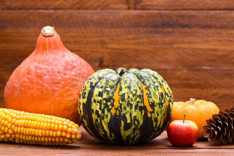 Pumpkin Fruits As Decoration Stock Photo - Image of harvest, rustic ...