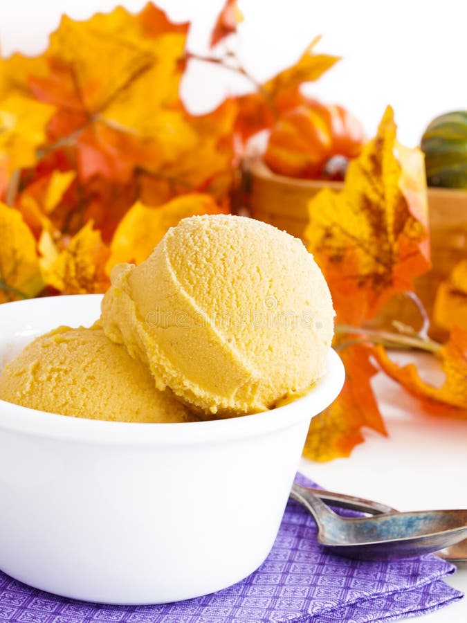 Pumpkin Gelato stock image. Image of energizing, bowl - 26810443