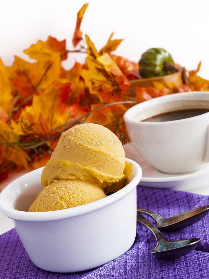 Pumpkin Gelato stock image. Image of pumpkin, italian - 26810475