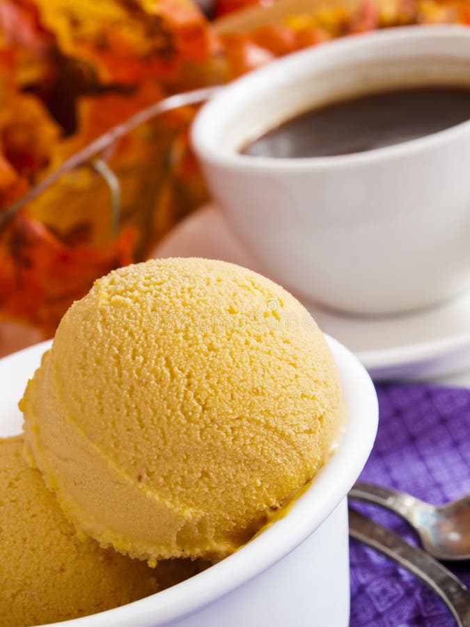Pumpkin Gelato stock photo. Image of dark, milk, frozen - 26810488
