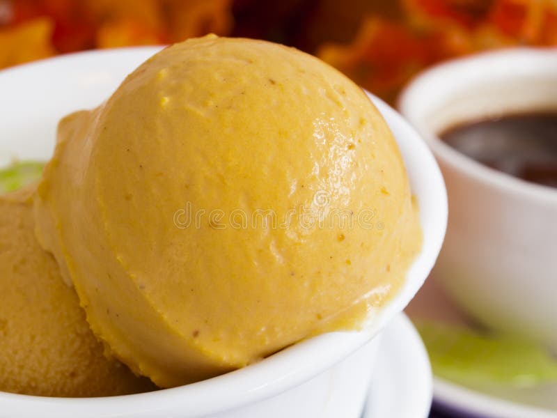 Pumpkin Gelato stock photo. Image of energizing, drink - 26810556