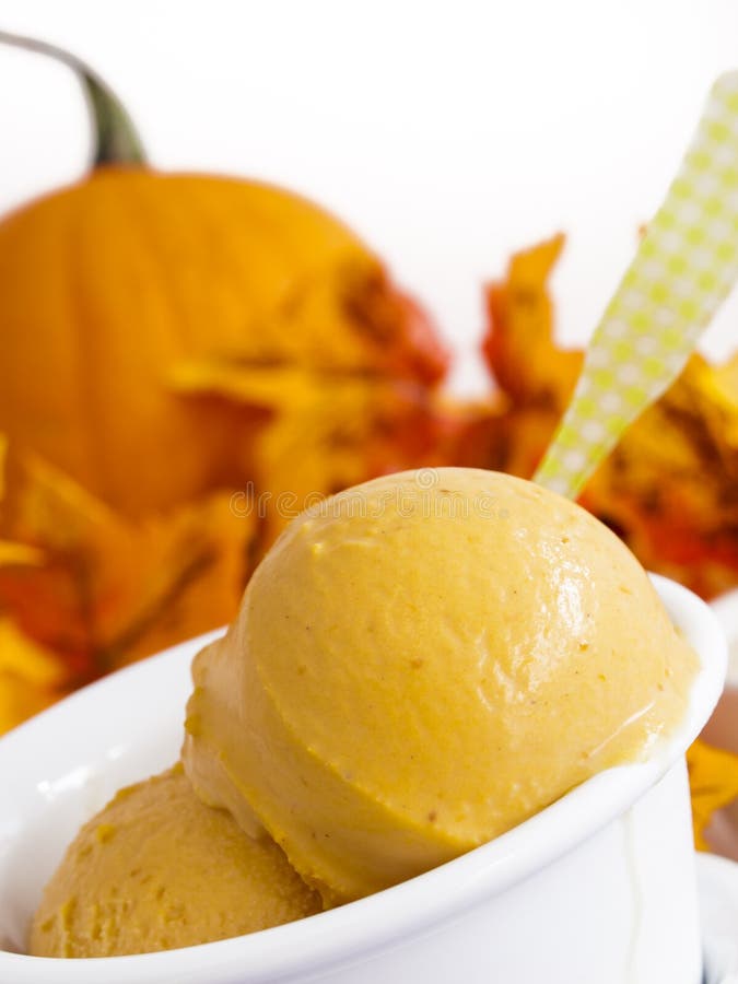Pumpkin Gelato stock image. Image of colors, leafs, cucurbita - 26810583