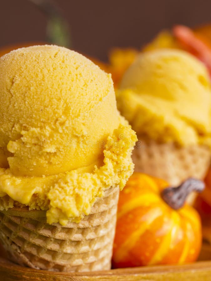 Pumpkin Gelato stock photo. Image of fruit, cream, nutrition - 26810932