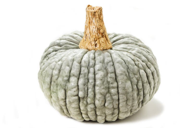 Pumpkin green stock image. Image of natural, decoration - 45024437