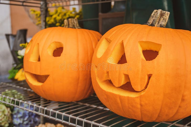 Pumpkin for Halloween on a Market Stall Stock Photo - Image of nature ...