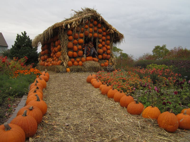 Pumpkin House stock image. Image of october, autumn, building - 44616843