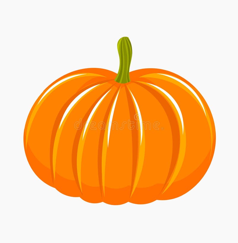 Pumpkin illustration stock vector. Illustration of food - 27164202