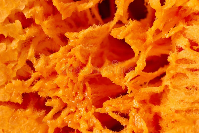 Pumpkin inside texture. stock photo. Image of selective - 78691412