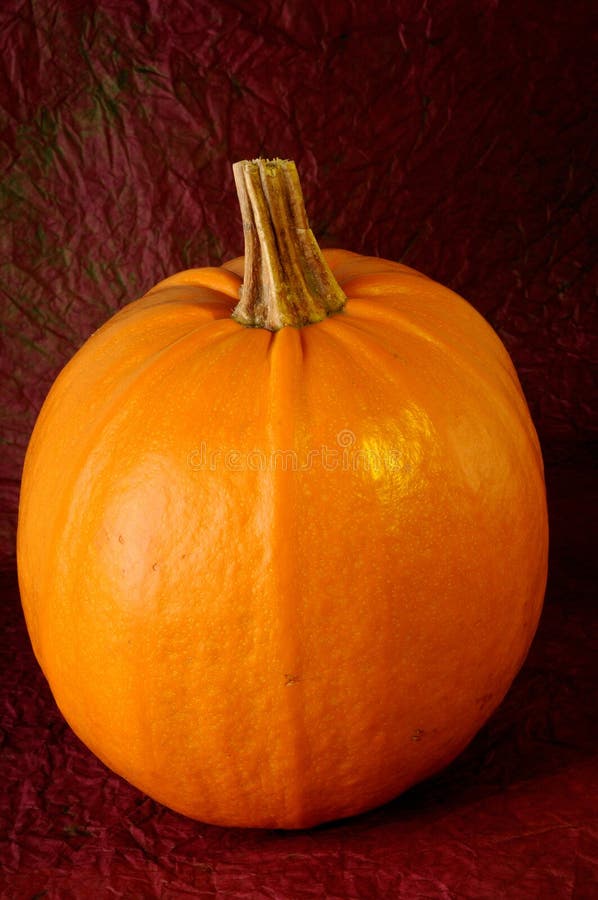 Pumpkin isolated stock photo. Image of food, gastronomy - 11240812