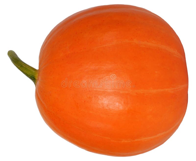 Pumpkin isolated stock image. Image of object, plant - 16172747