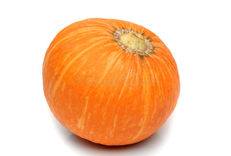 Pumpkin isolated stock photo. Image of food, cooking, vitamin - 2408826