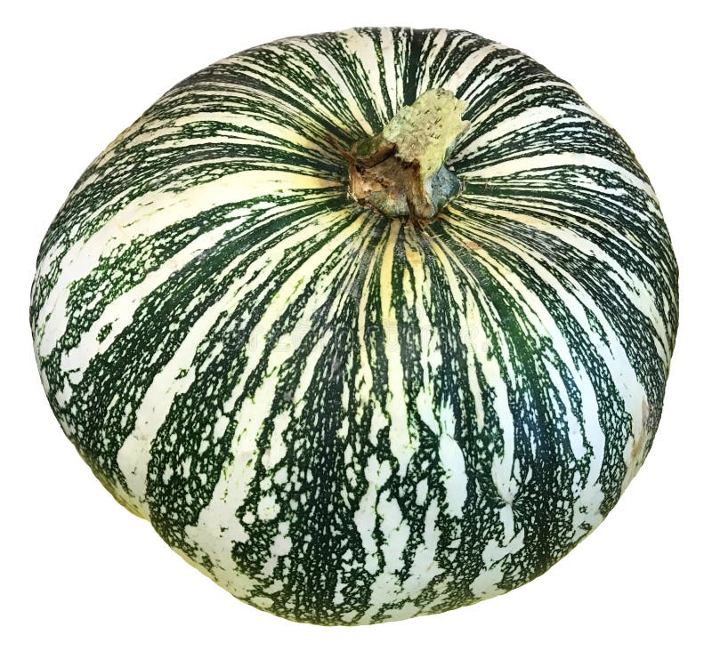 3,094 Real Pumpkin Stock Photos - Free & Royalty-Free Stock Photos from ...