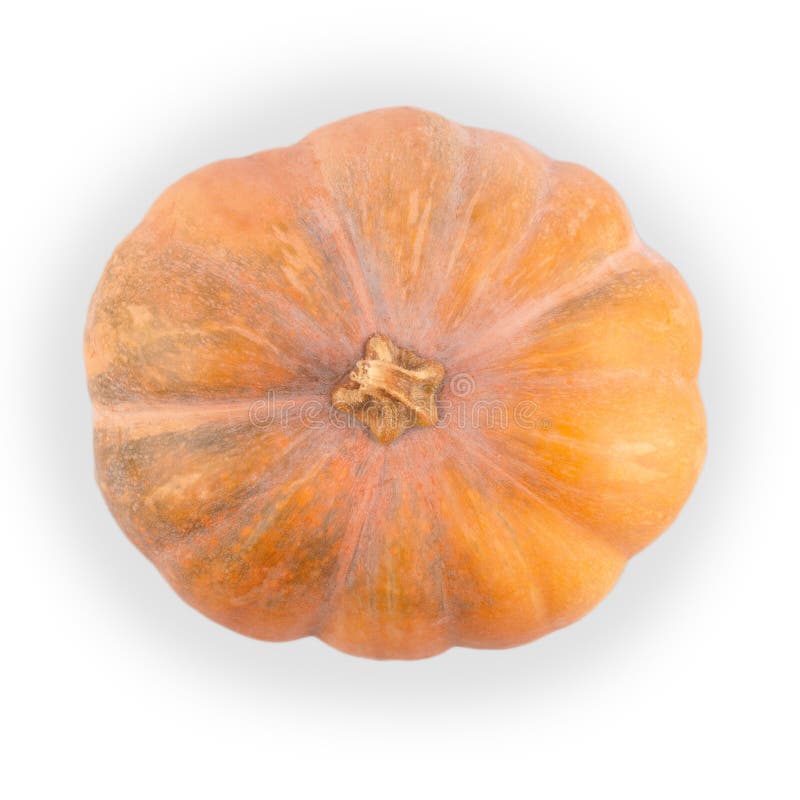 Pumpkin Isolated on White Background. Medium Size Stock Photo - Image ...