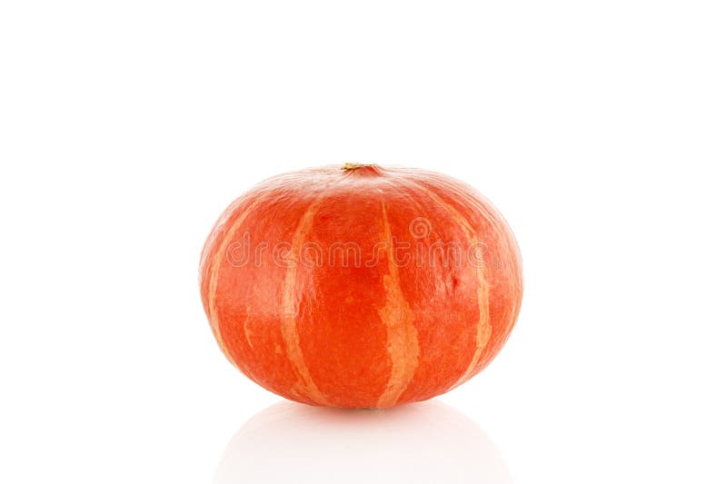 Pumpkin Isolated on White. Halloween Pumpkins. Fresh and Ripe Stock ...
