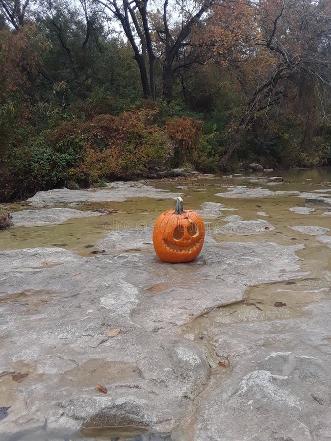 Pumpkin king stock image. Image of pumpkin, fast, king - 164133917