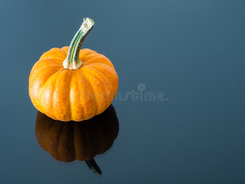 Pumpkin with Large Green Stem on a Black Surface with Mirror Like ...
