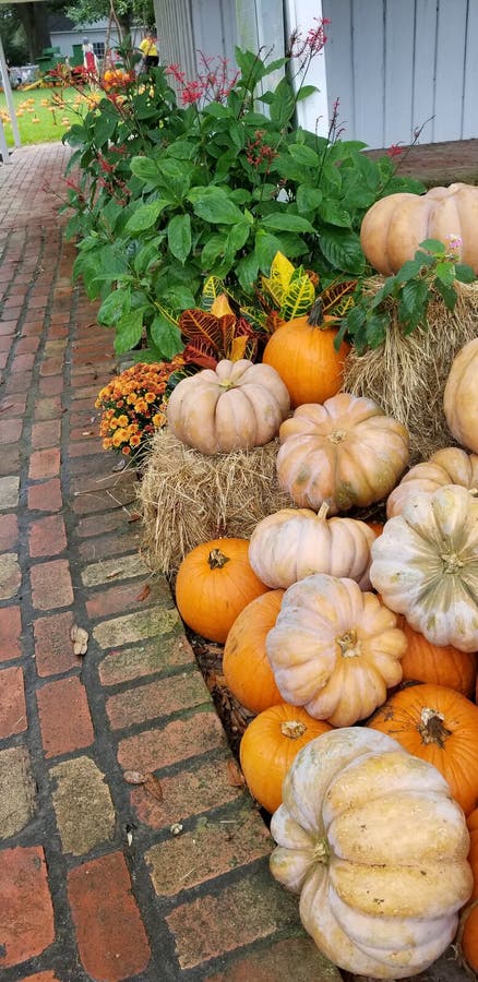 Pumpkin-lined Walkway stock photo. Image of green, stone - 60740446