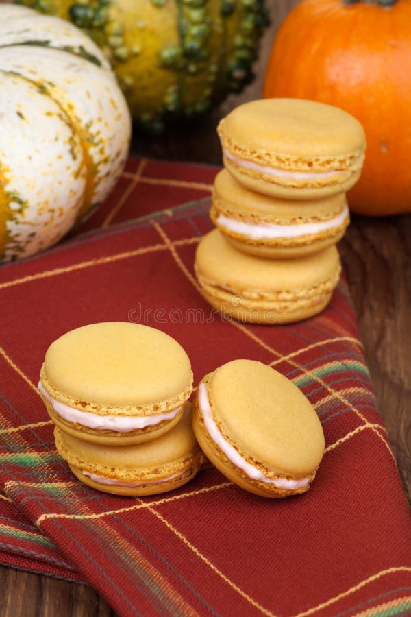 Pumpkin Macaroons stock image. Image of gourmet, orange - 44042953