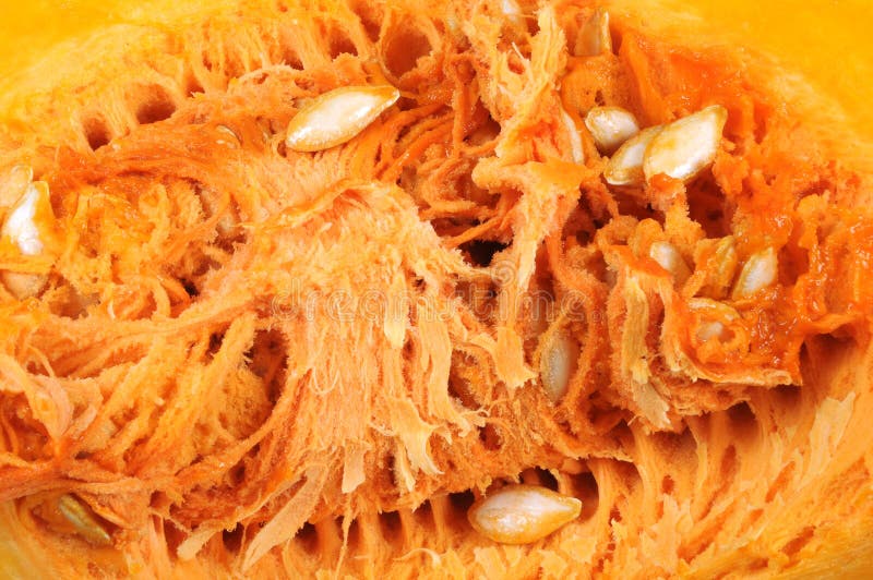 Pumpkin stock photo. Image of autumn, nature, vegetables - 37661680