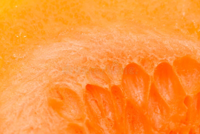 Pumpkin macro details stock photo. Image of healthy, seeds - 97879020