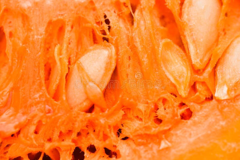 Pumpkin macro details stock photo. Image of vegan, seeds - 97879536