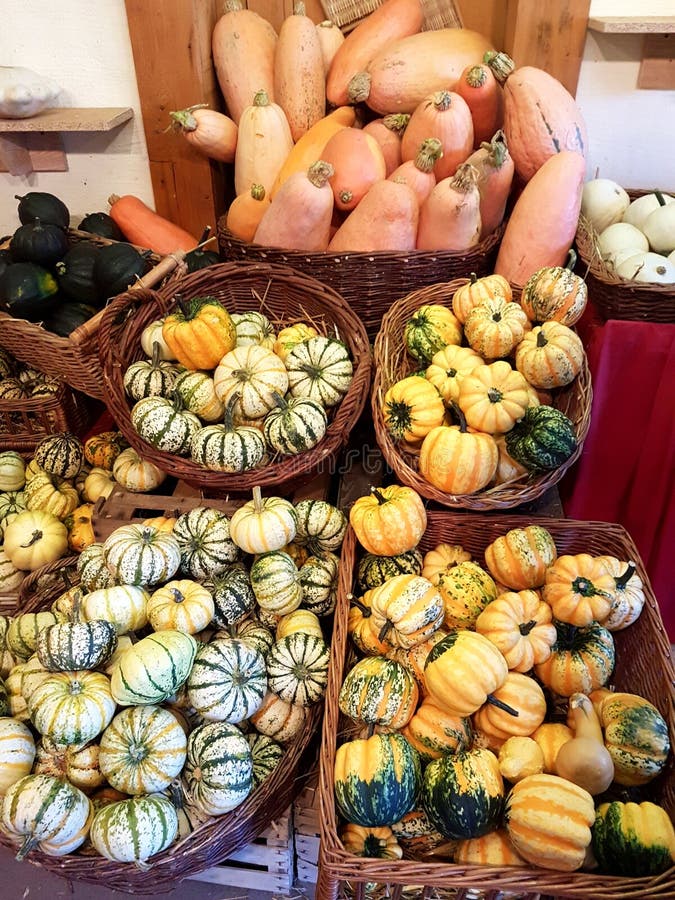 Pumpkin on a market stall stock photo. Image of market - 80723504