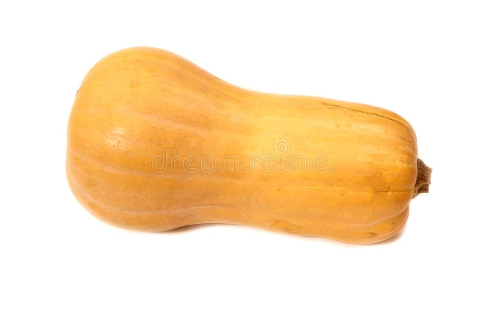 A Pumpkin Matilda Isolated on a White Background Stock Image - Image of ...