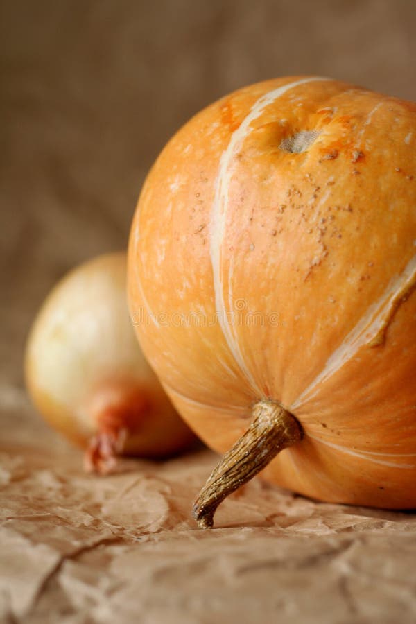 Pumpkin and onion close-up stock photo. Image of ochre - 1595462