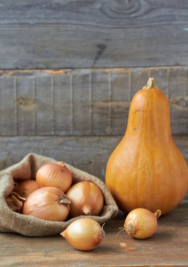 Pumpkin and onion stock photo. Image of yellow, composition - 34279624