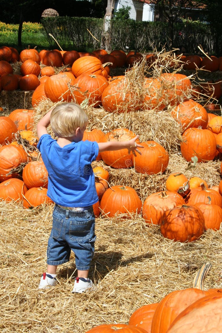 191 Pumpkin Patch Collages Preschool Stock Photos - Free & Royalty-Free Stock Photos from Dreamstime