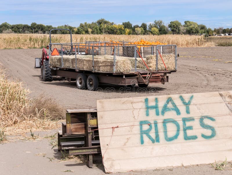 Pumpkin Patch hay ride stock image. Image of countryside - 78237469