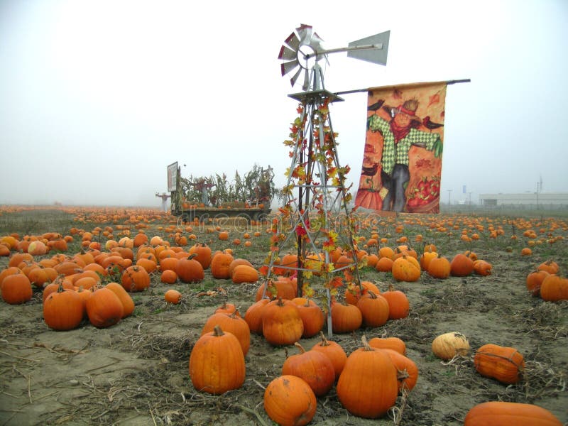 Pumpkin Patch Windmill Picture. Image: 1364267