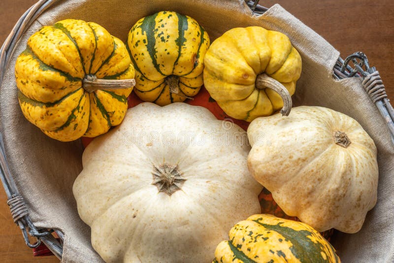 Pumpkin, Patisson and Jack Be Little in a Decorative Basket Stock Photo ...