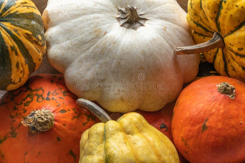 Pumpkin, Patisson and Jack Be Little in a Decorative Basket Stock Image ...