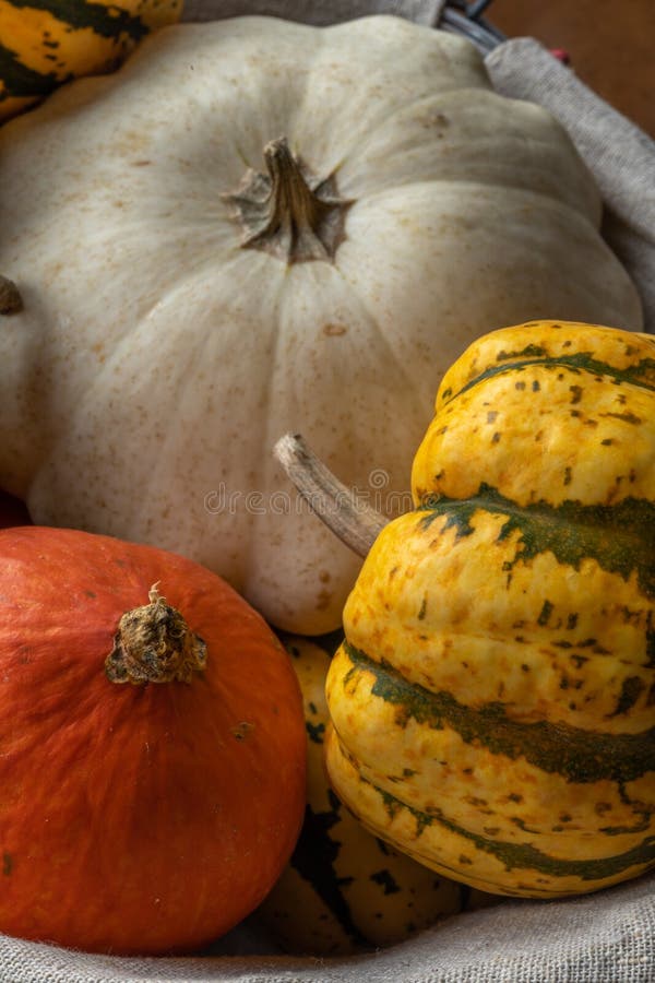 Pumpkin, Patisson and Jack Be Little in a Decorative Basket Stock Photo ...