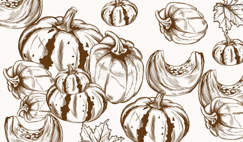 Pumpkin Pattern Line Art Vector. Autumn Fall Harvest Decors Stock ...