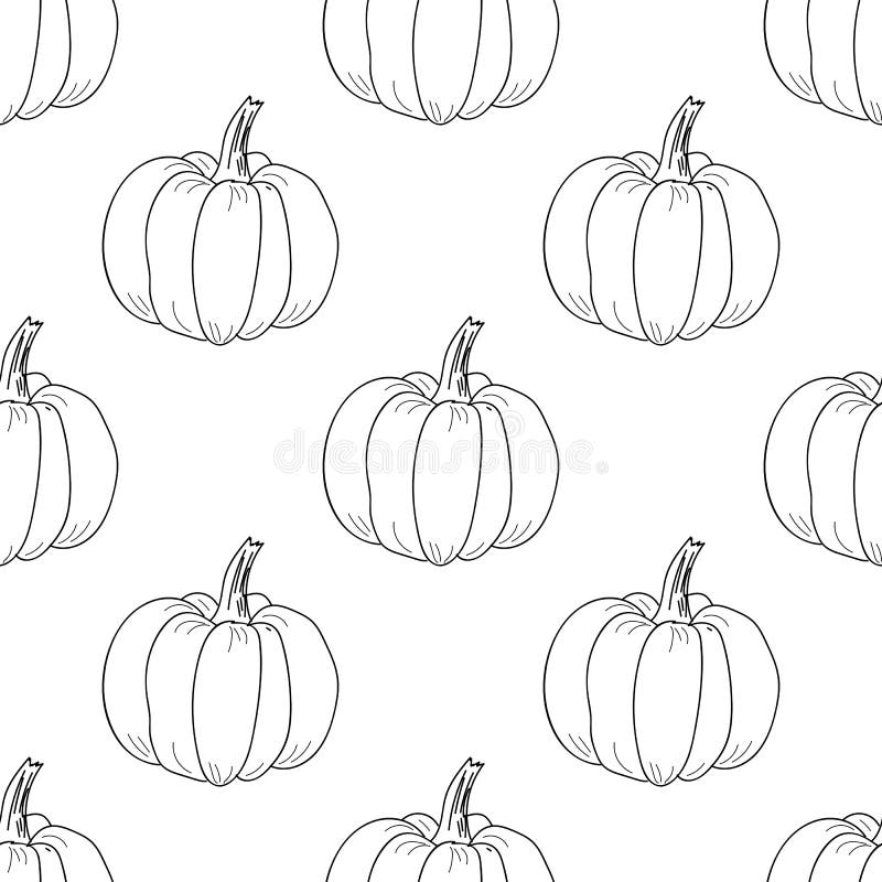 Pumpkin Pattern. Vector Contour Graphic on White Background Stock ...
