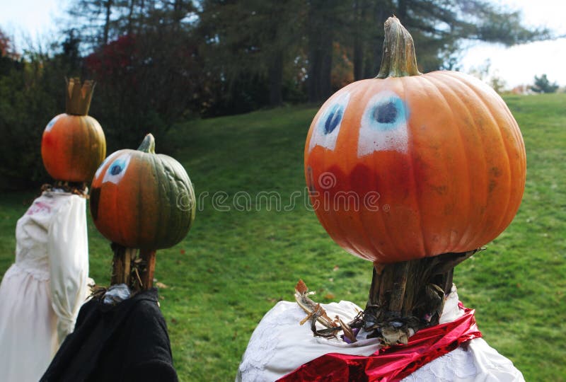 Pumpkin People Picture. Image: 1876693