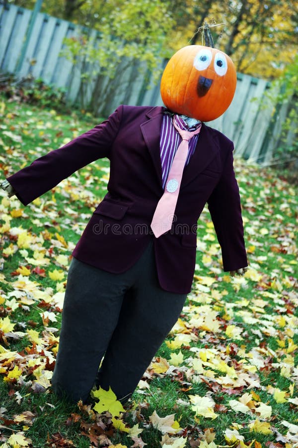 Pumpkin person in a suit stock photo. Image of goodness - 1967264