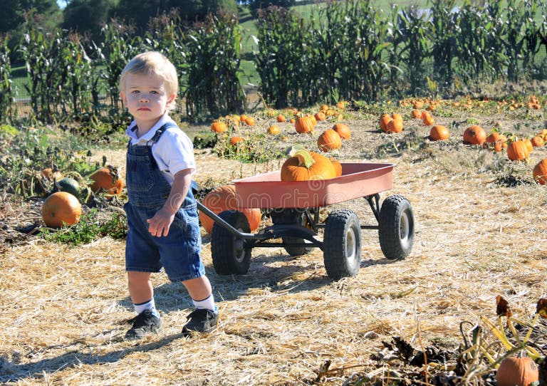 4,430 Pumpkin Picking Bus Stock Photos - Free & Royalty-Free Stock ...