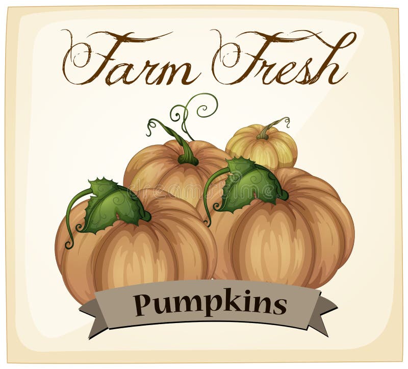 Beer free label stock vector. Illustration of foam, backdrop - 30827783