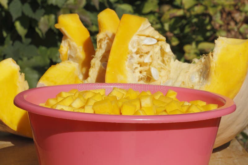 Pumpkin stock photo. Image of color, bowl, agriculture - 36667432