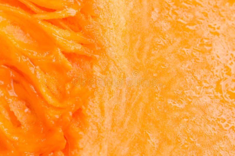Pumpkin pulp stock photo. Image of pumpkin, seeds, agriculture - 49516748