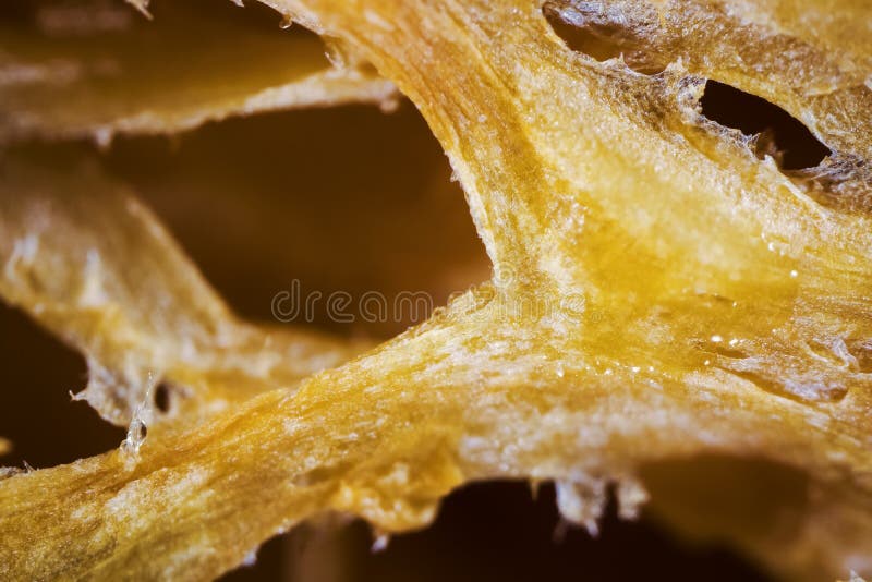 Pumpkin Pulp Macro Texture stock image. Image of texture - 135279843